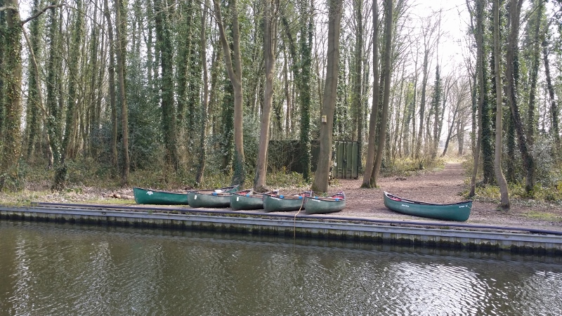 Lucy's Wednesday walks: Coven to Gailey - a Staffs and Worcs canal walk