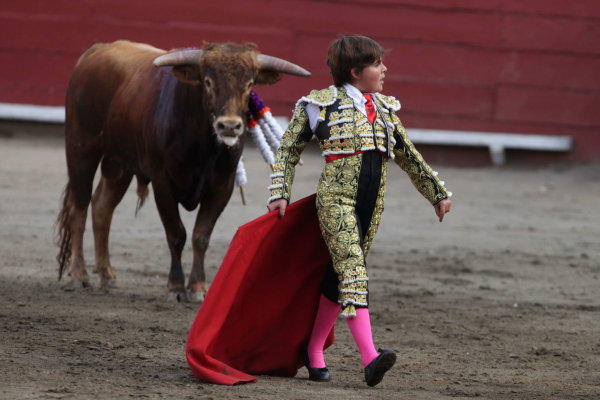 Tauromaquia ¿Arte o Tortura?: ¿ Son Traumatizantes Las Corridas De ...