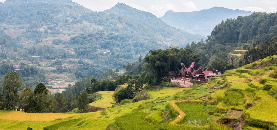 60+ Paling Keren Gambar Pemandangan Alam Toraja