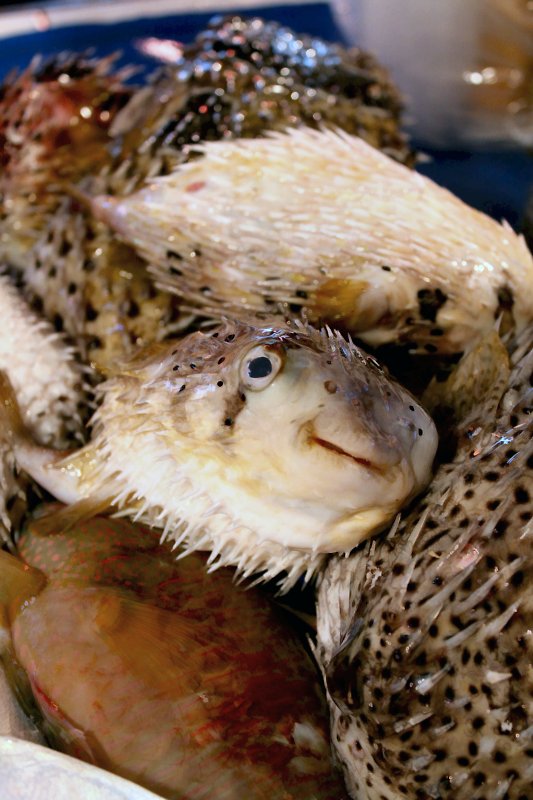 The other side of variety | dead-hungry