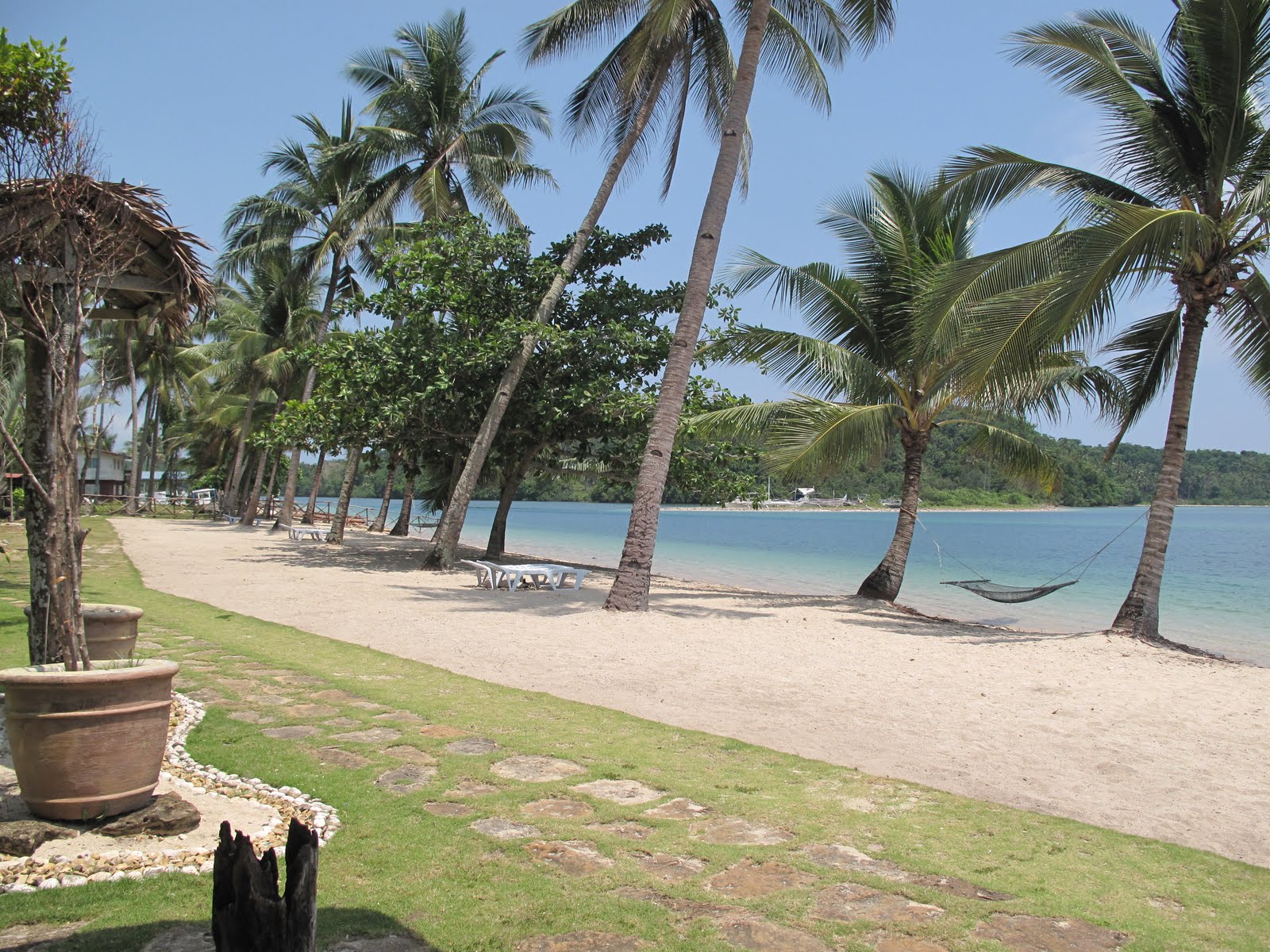 Scuba Diving the Philippines Indepth...: Masbate (ticao island)