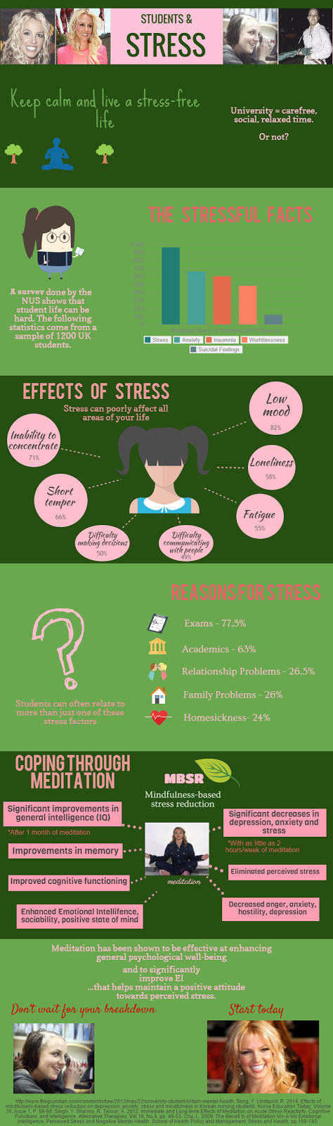 Persuasion and Influence: Group Project: Meditation Against Stress