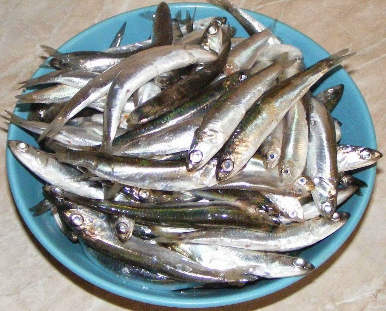 Hamsii pane | Preparatedevis.ro