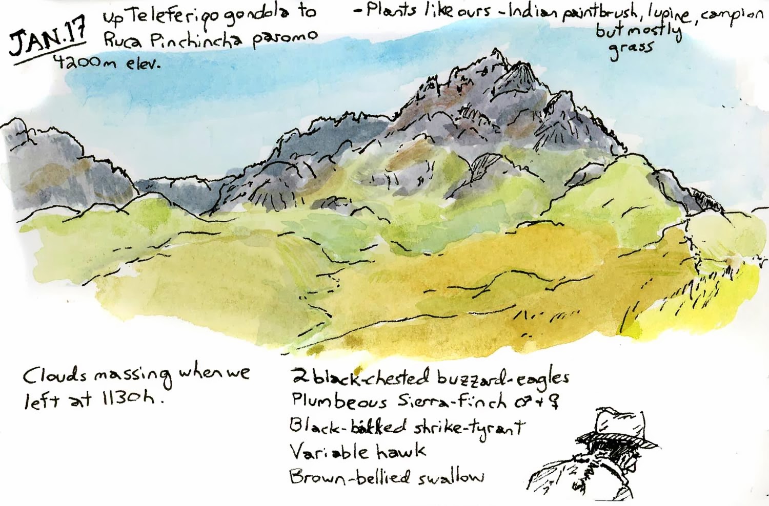 Dave Huggard Drawings: Ecuador - Quito II