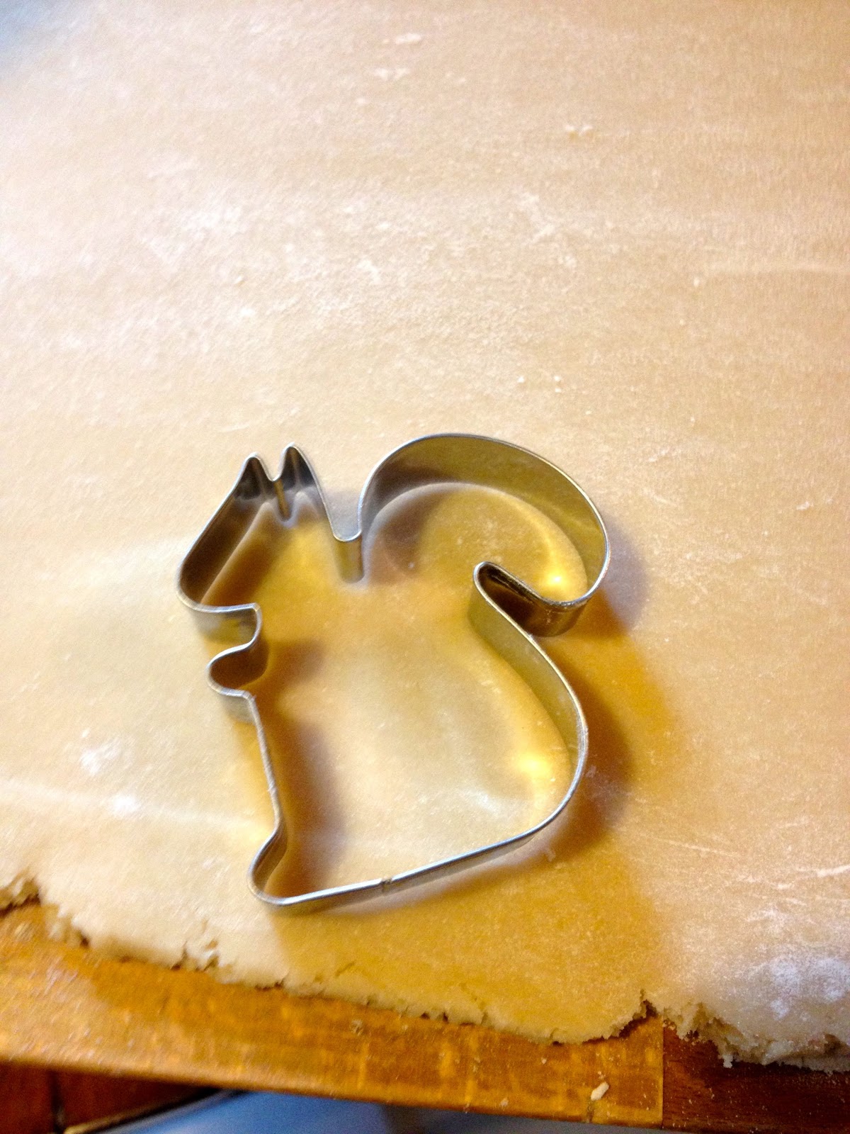 Heidi's Mix: Wild Squirrel Cookies