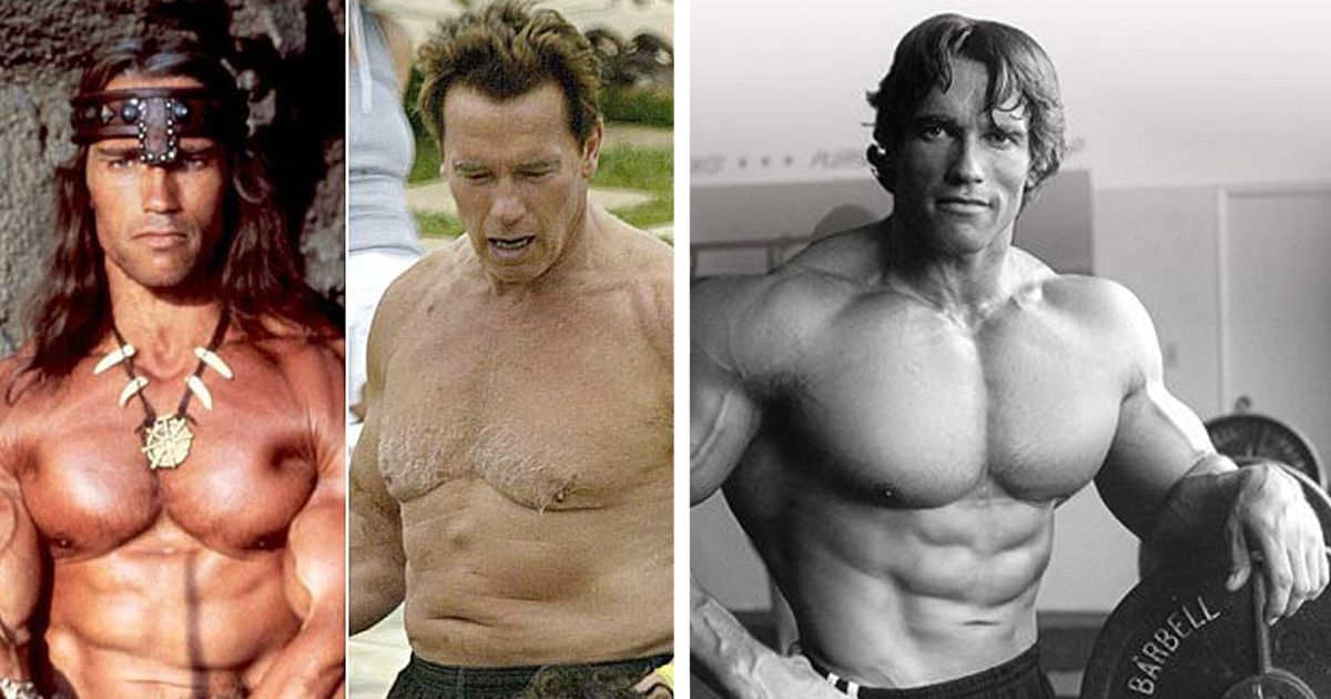 Do Muscles Really Turn to Fat When You Stop Working Out ? - SHREDDEDFIT