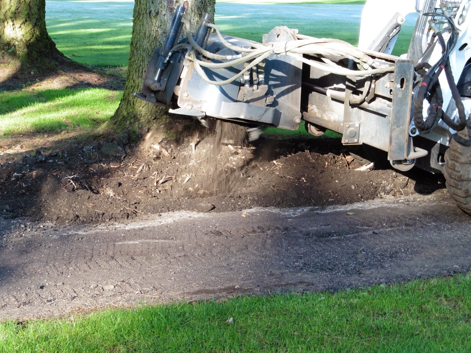 Glendale Country Club: Cart path root removals