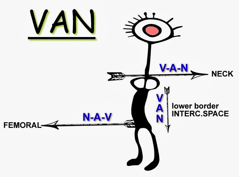 Medical MindMaps for USMLE Step 1: Femoral Region