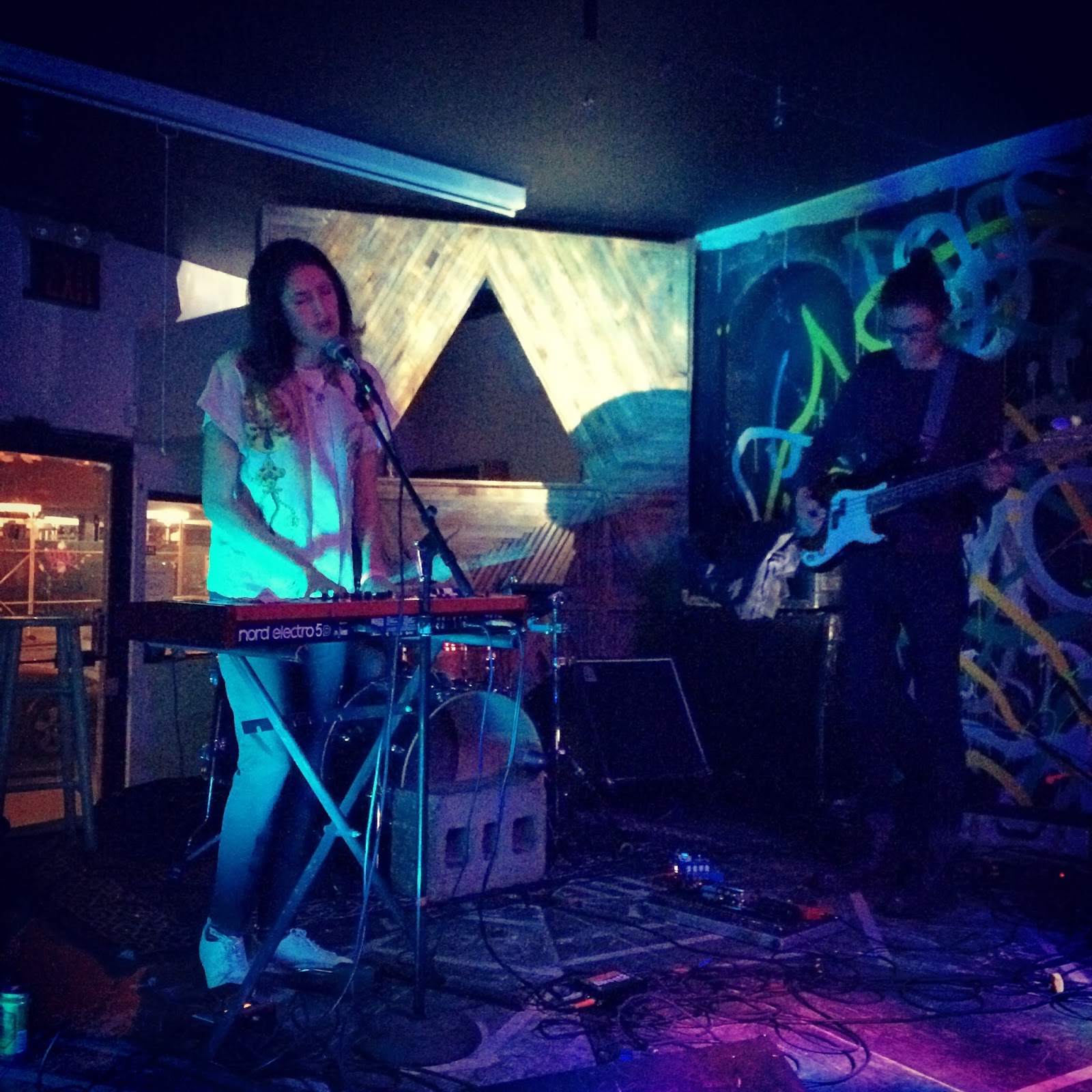 Hydrogen Jukebox: Half Waif, Swoon Lake, and Fieldings at the Silent ...