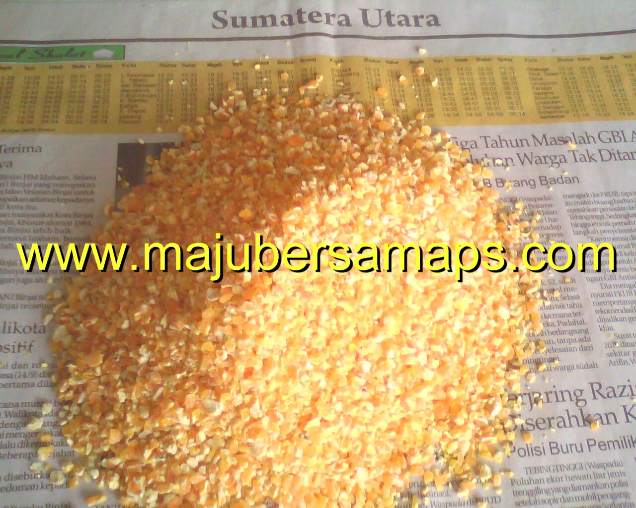 MAJU BERSAMA Poultry Shop: SENTRAL PAKAN TERNAK JAGUNG (PIPIL, GILING ...