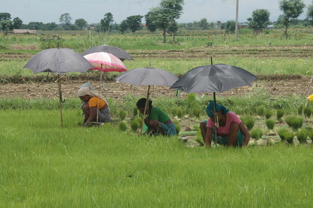 प्रकृति: Asar 15