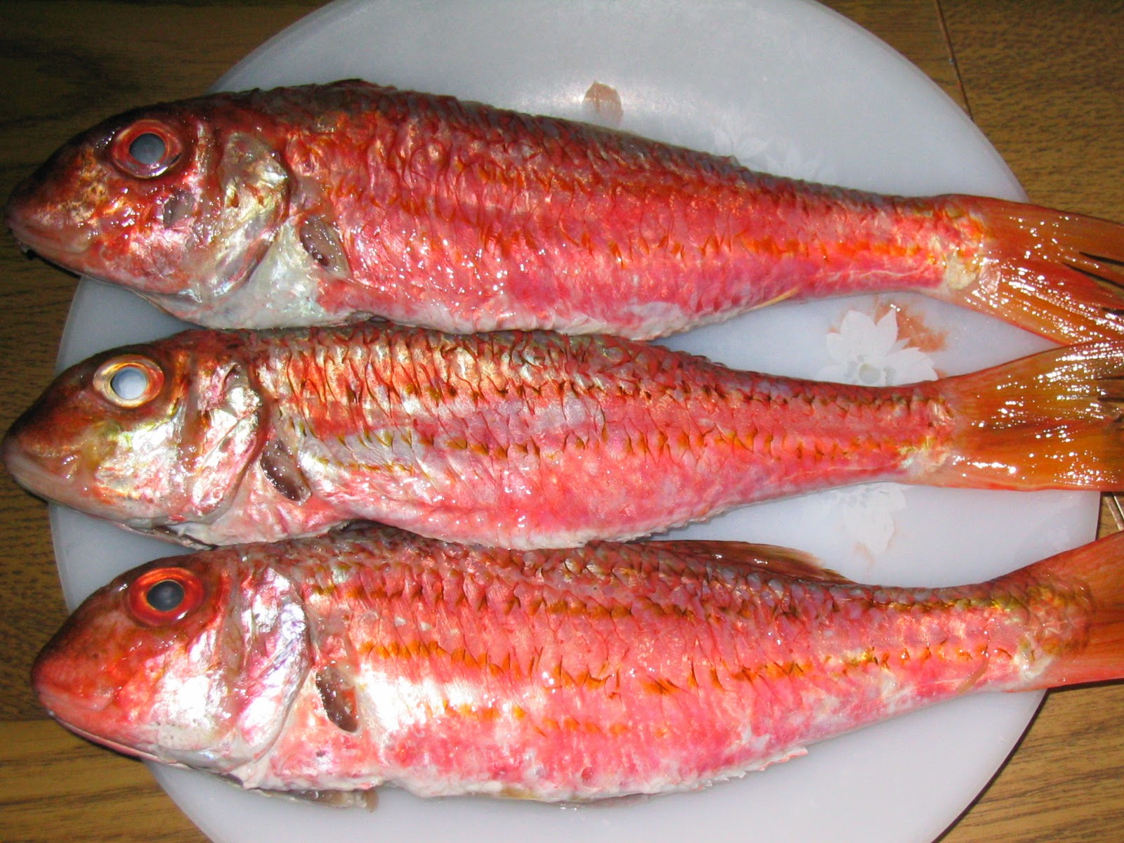 El rincón de Mundín: EL SALMONETE: CARACTERÍSTICAS