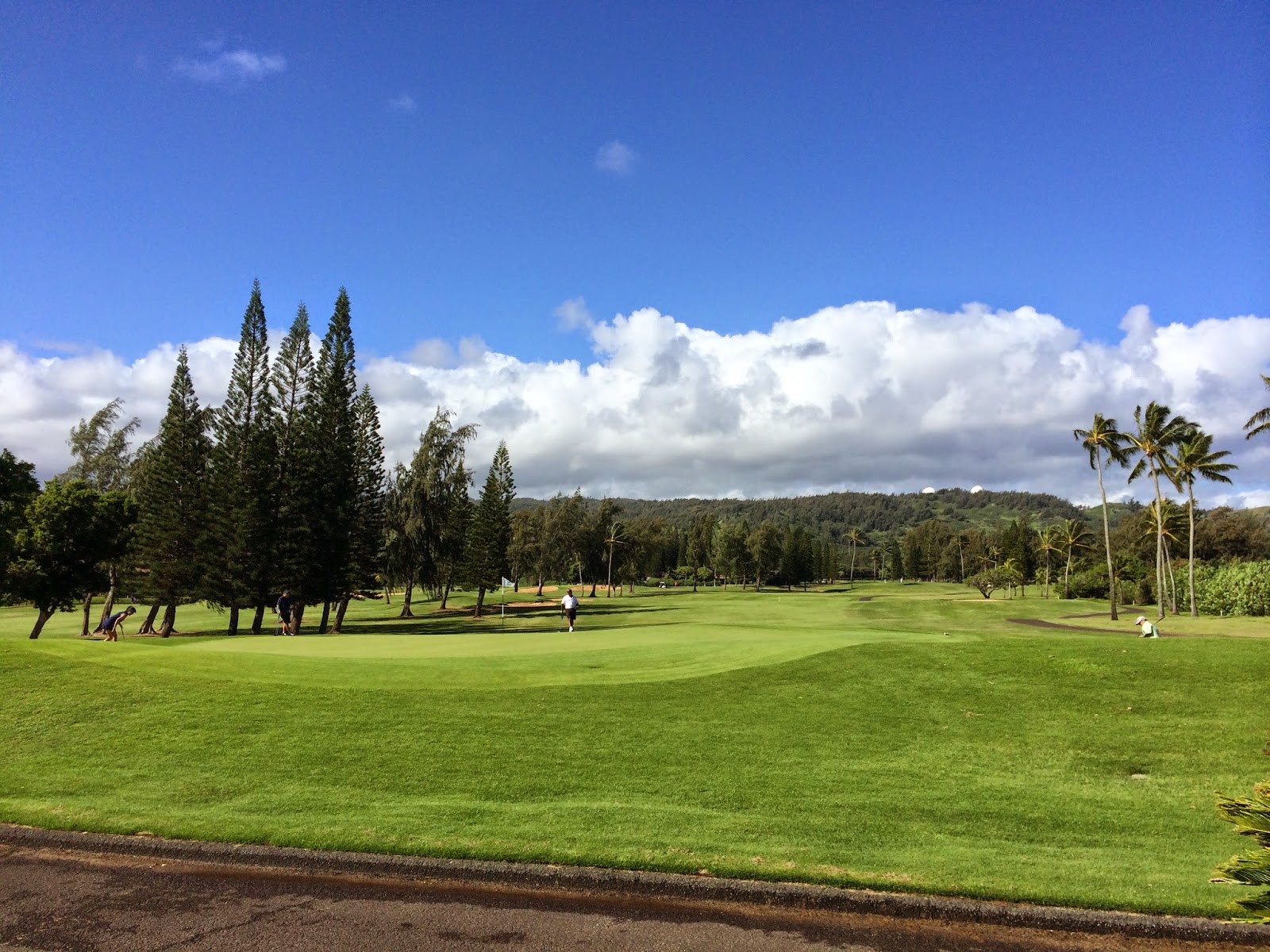 TASTE OF HAWAII: TURTLE BAY GOLF RESORT - THE PALMER COURSE