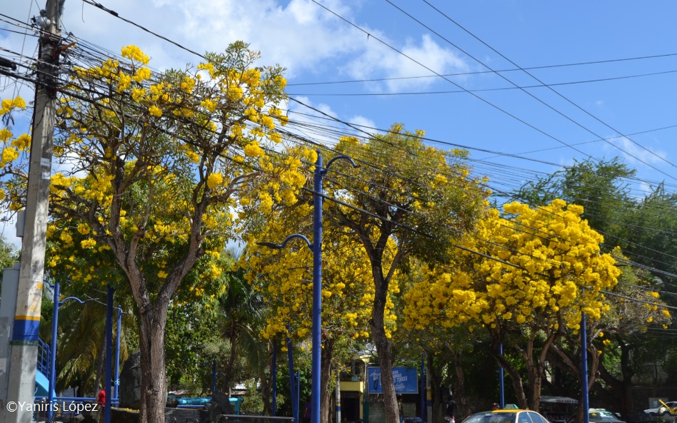Ningún lugar está lejos... en RD: abril 2019