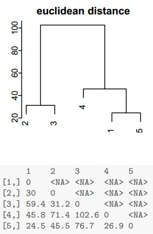 MVPA Meanderings: February 2016