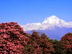 Travel Blog, Nepal Travel Information, Nepal One Tours & Travels ...
