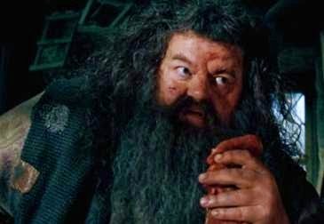 Click's Clan: Film Review: Harry Potter and the Order of the Phoenix ...