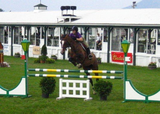 What I Love About Baby Horses: Jumping