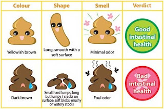 Belajar tentang Feses dan Kenali Warnanya