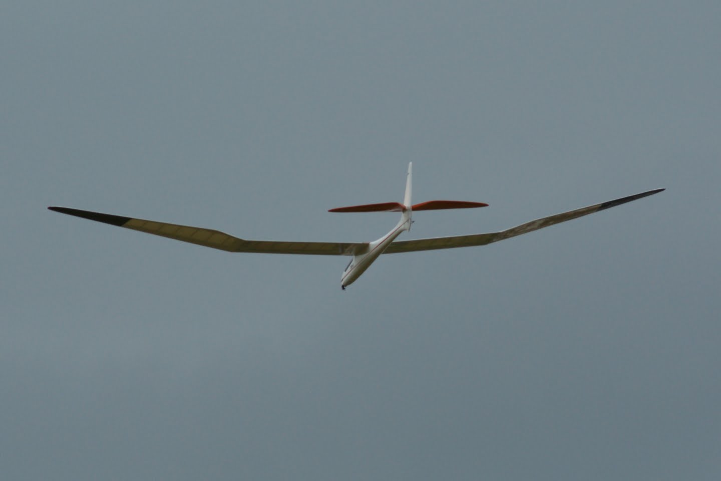 Thermal Duration Flight: Back to the 70's classic sailplane " The Bird ...