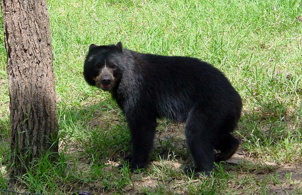 Caracterización de Mérida ~ Paseando Mérida