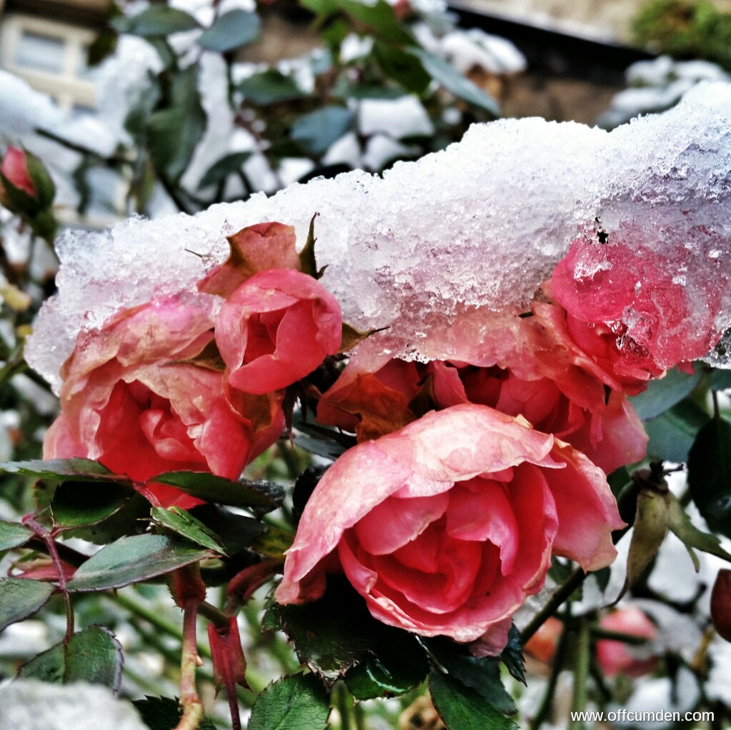 Week 113 - What has made me happy - Helpful Mum