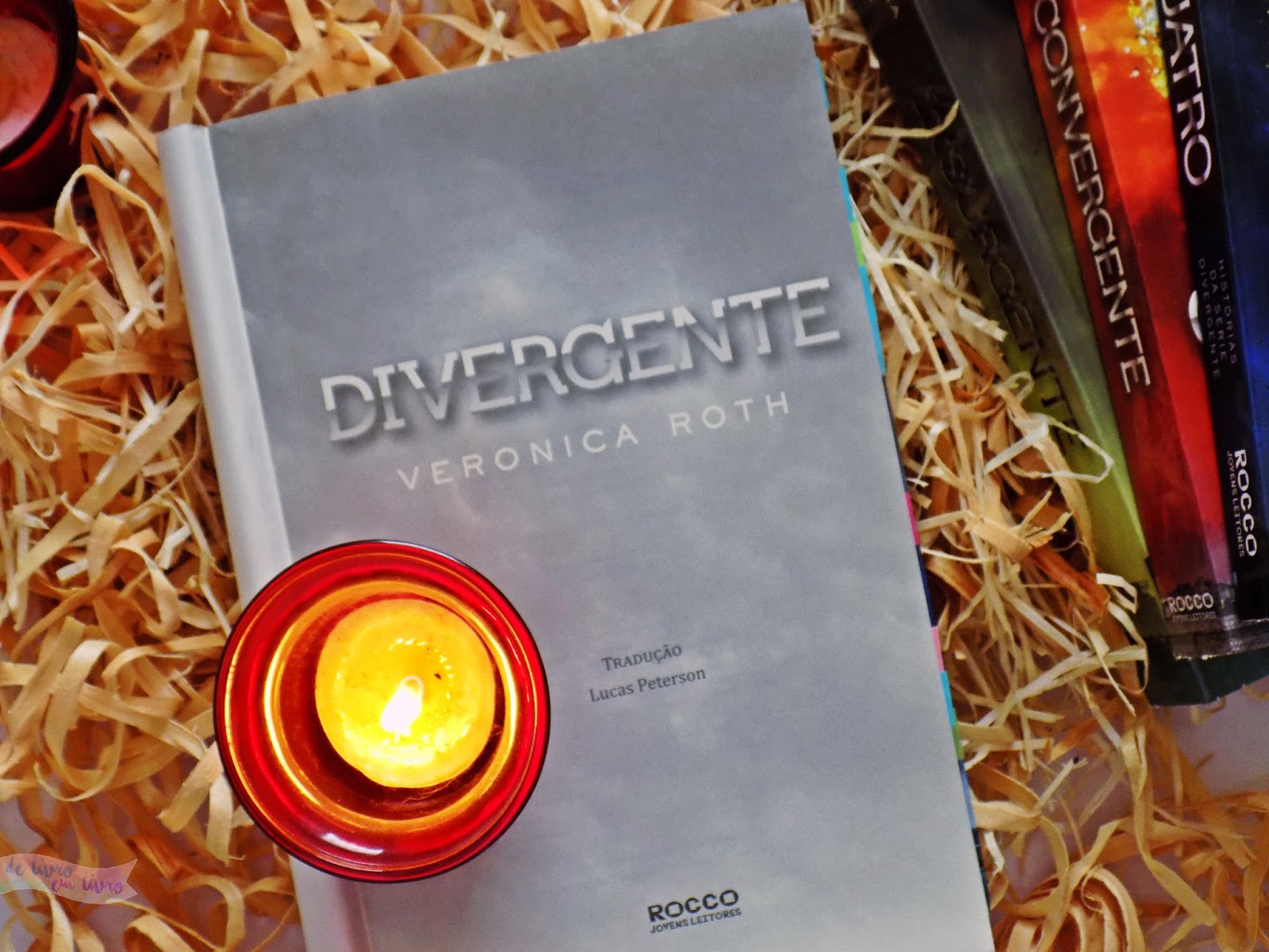 Resenha: Divergente - Trilogia Divergente, vol.1 - Veronica Roth | De ...