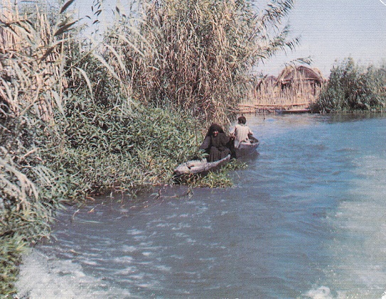 Unesco Postales : Refugio de biodiversidad de los “ahwar” y paisaje ...