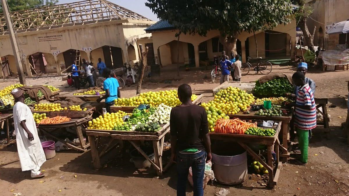 Photos: Social and economic life returns to Damboa community after ...