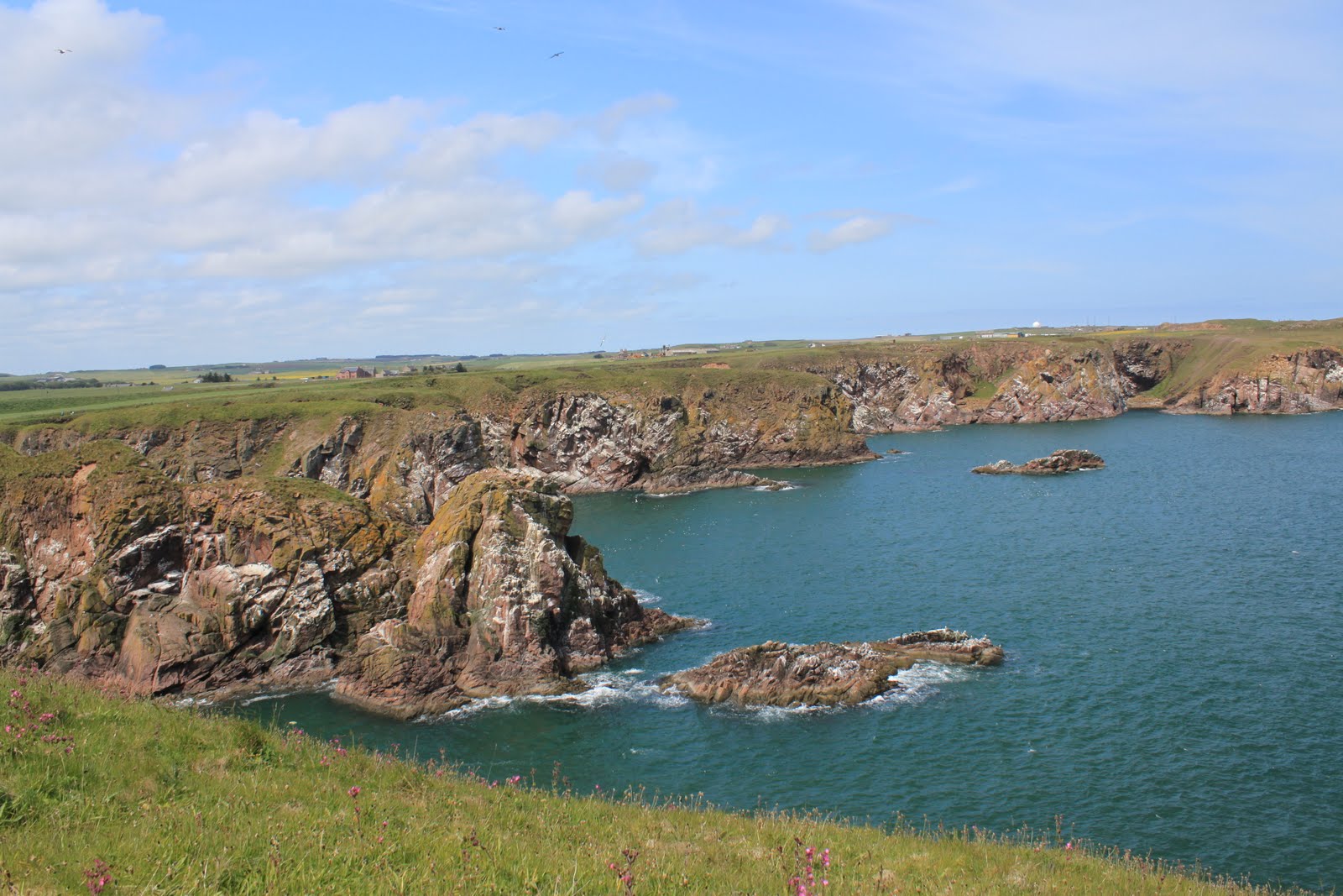 Walking in the North East of Scotland: The Bullers of Buchan from ...