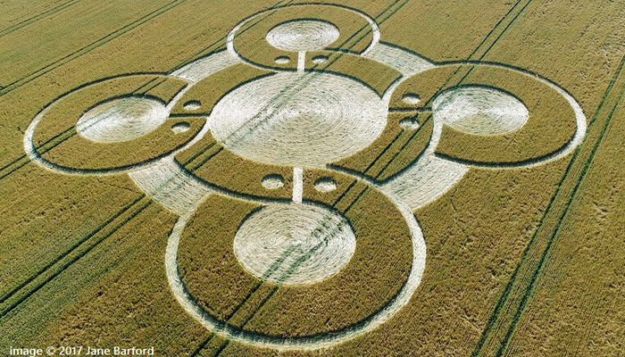 CAMINO - CONCIENCIA / SEÑALES DE LOS TIEMPOS : IMPRESIONANTE AGROGRAMA ...