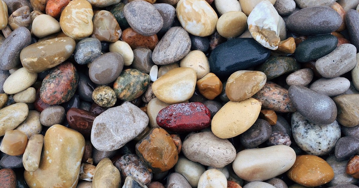 Navigating Life's Curves : National Words Matter Week