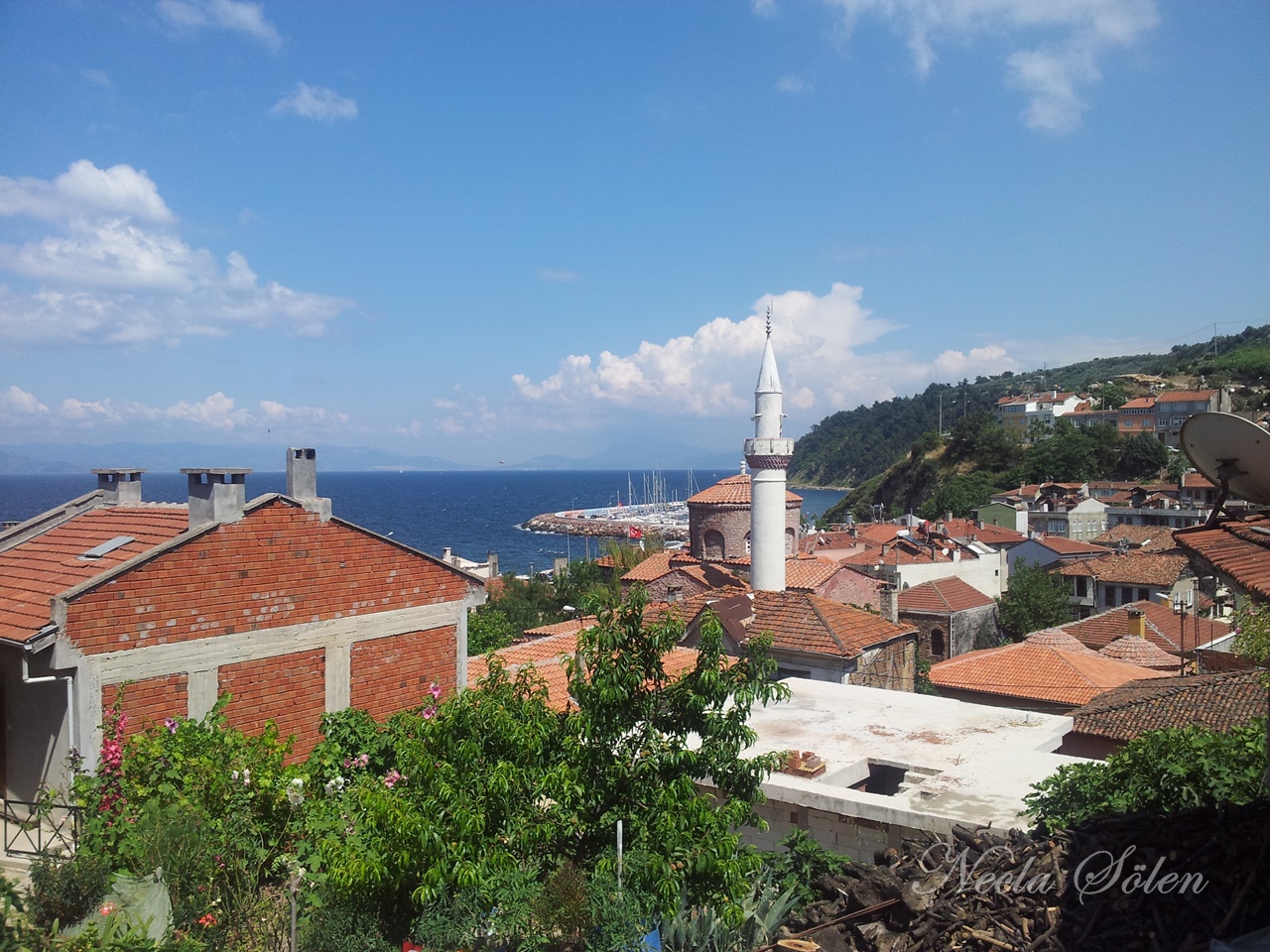 Tirilye - Necla Sölen