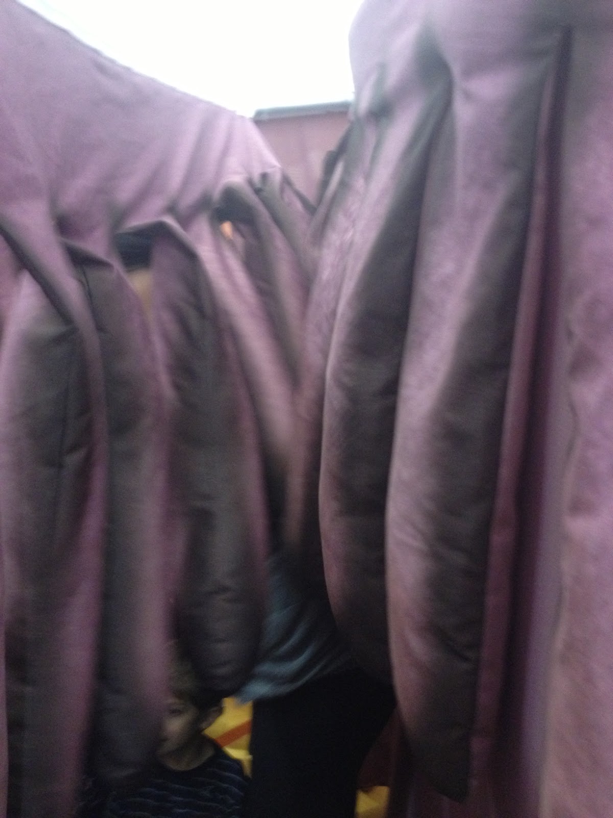 The Body Venture Exhibit! | Mrs. Hodge's Kids