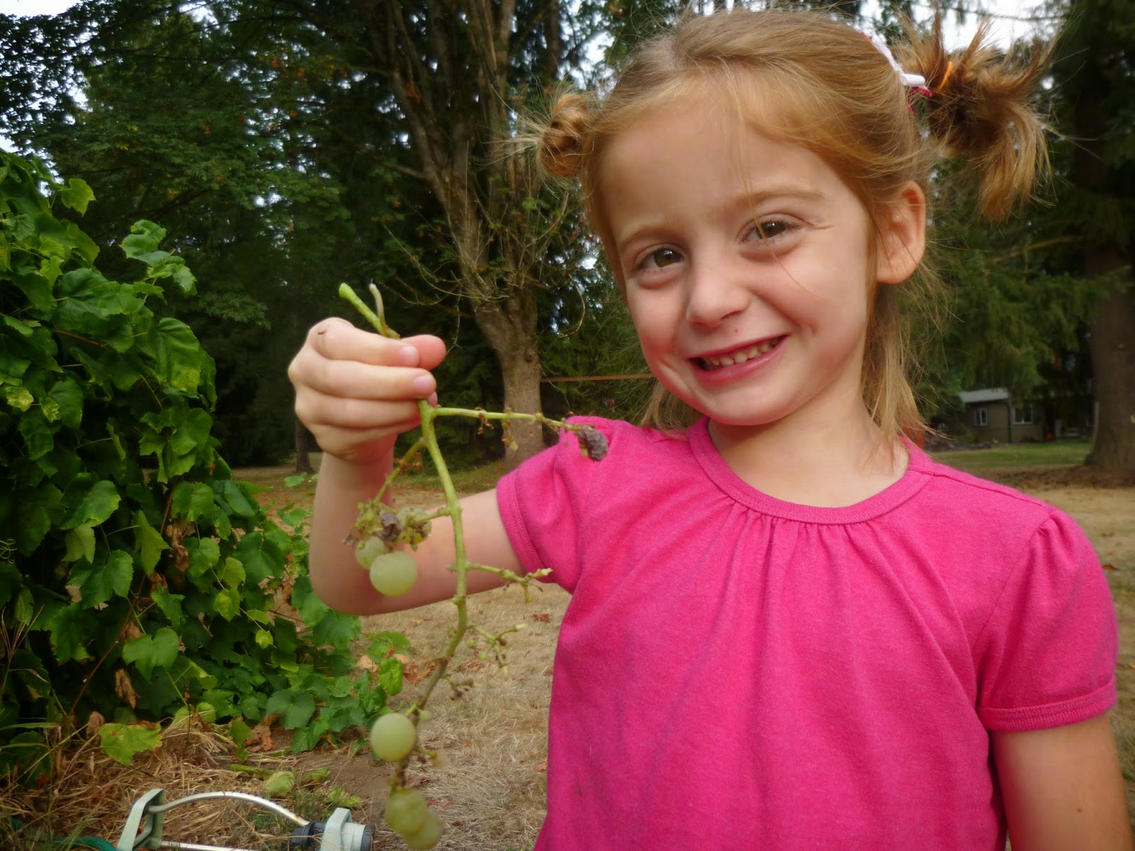 The Kanooth Adventures : Trip to Washougal Washington