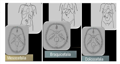 Examen Clínico Regional