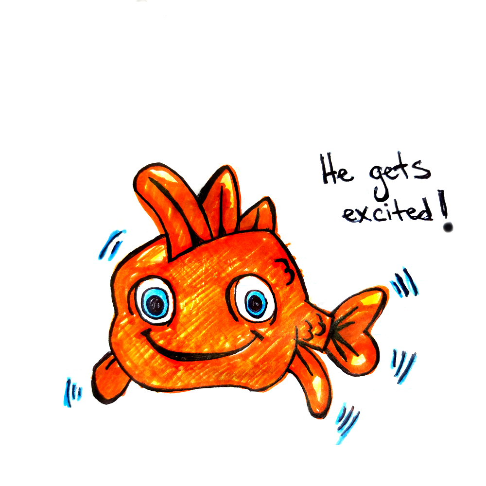 Fish Diseases | How to Treat Sick Fish