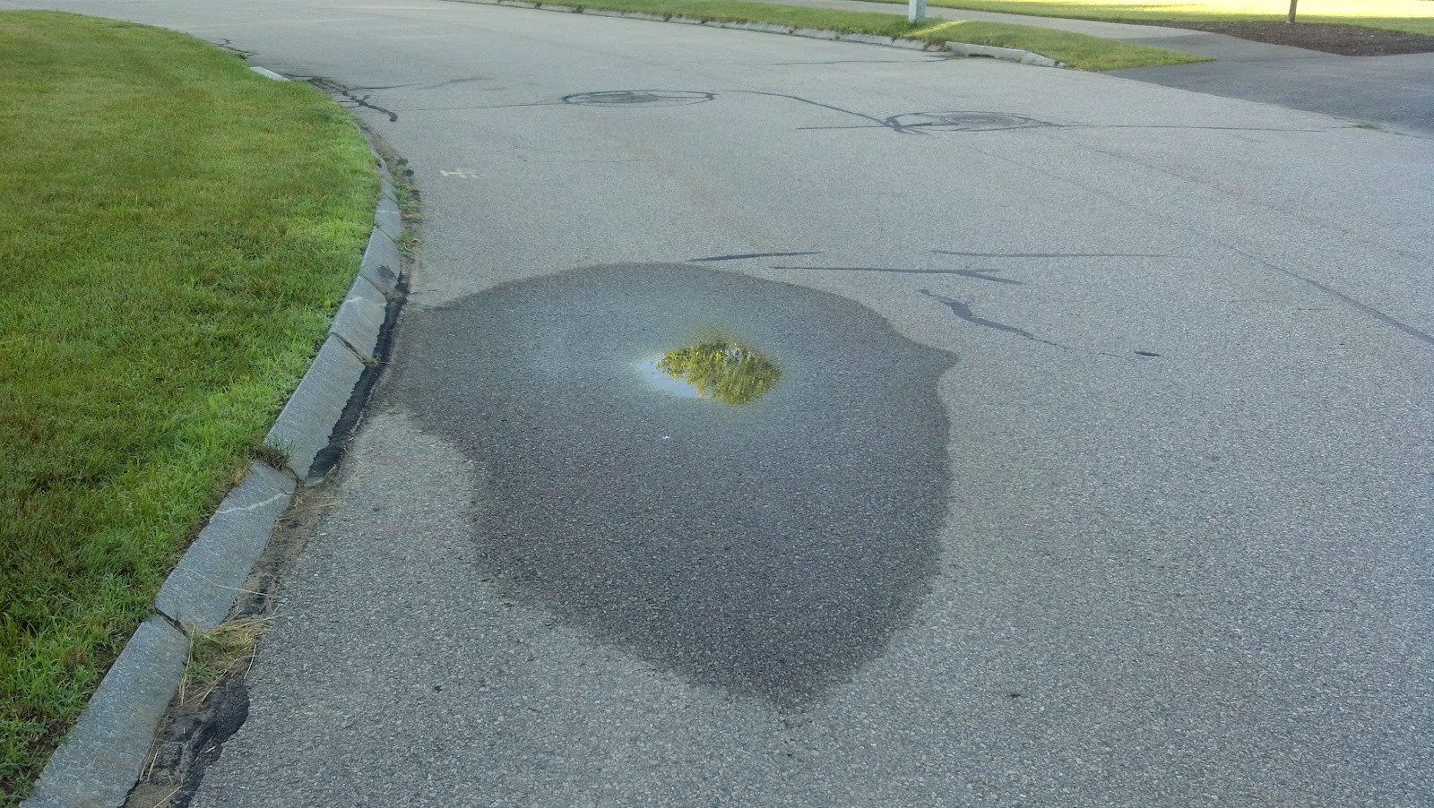 Steve's 2 Cents: Thoughts on the run - 3