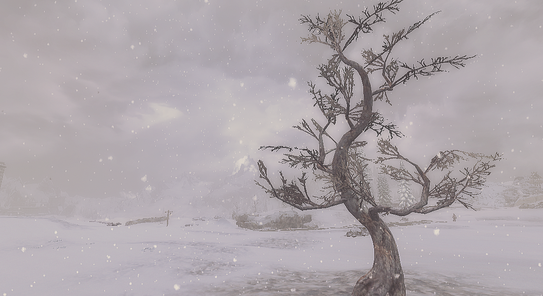 Wait, I know you.: skyrim screenshot - 1