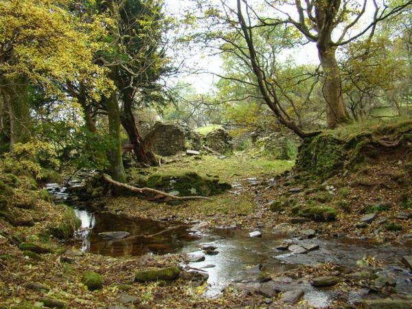 Landscapism: Towards a new landscape aesthetic