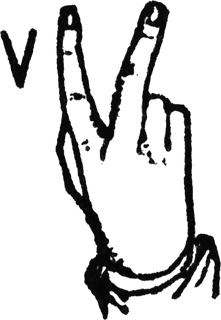 Meme Express: Vroom for Letter V Day!