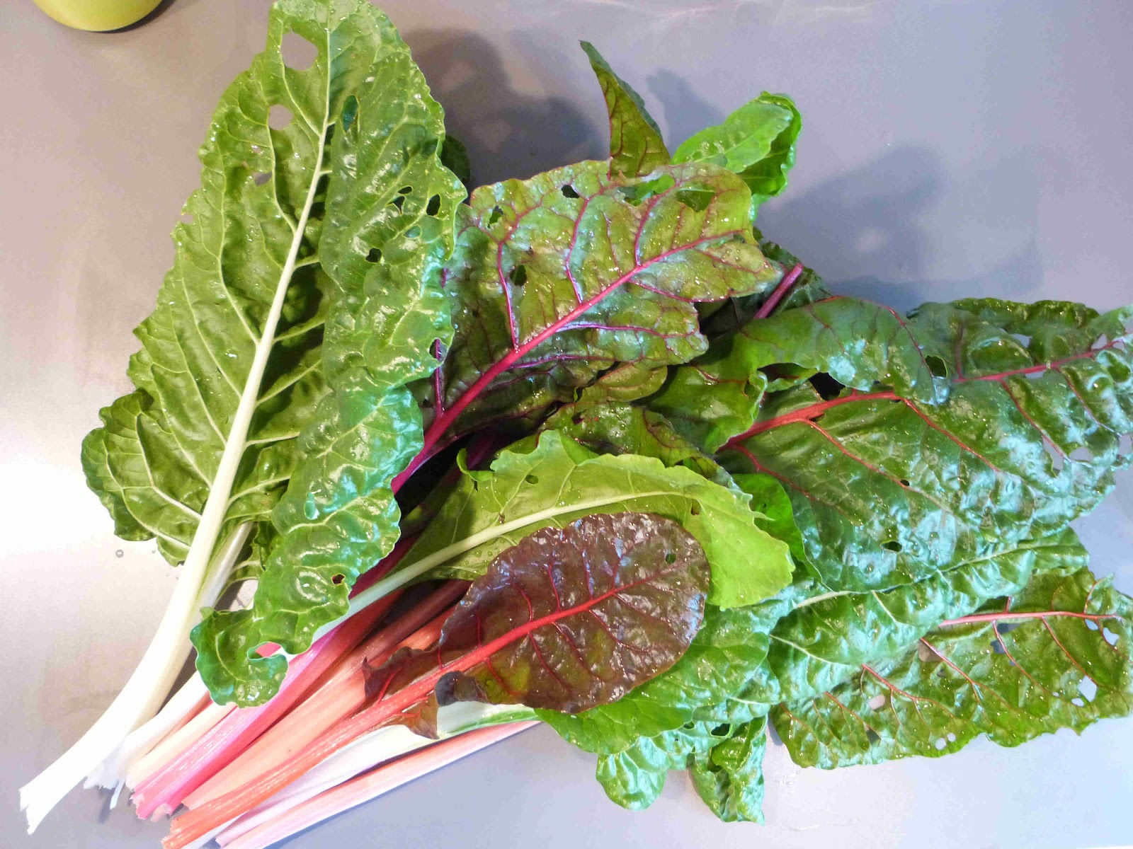 On verra au jardin...: Bettes, blettes ou poirées...