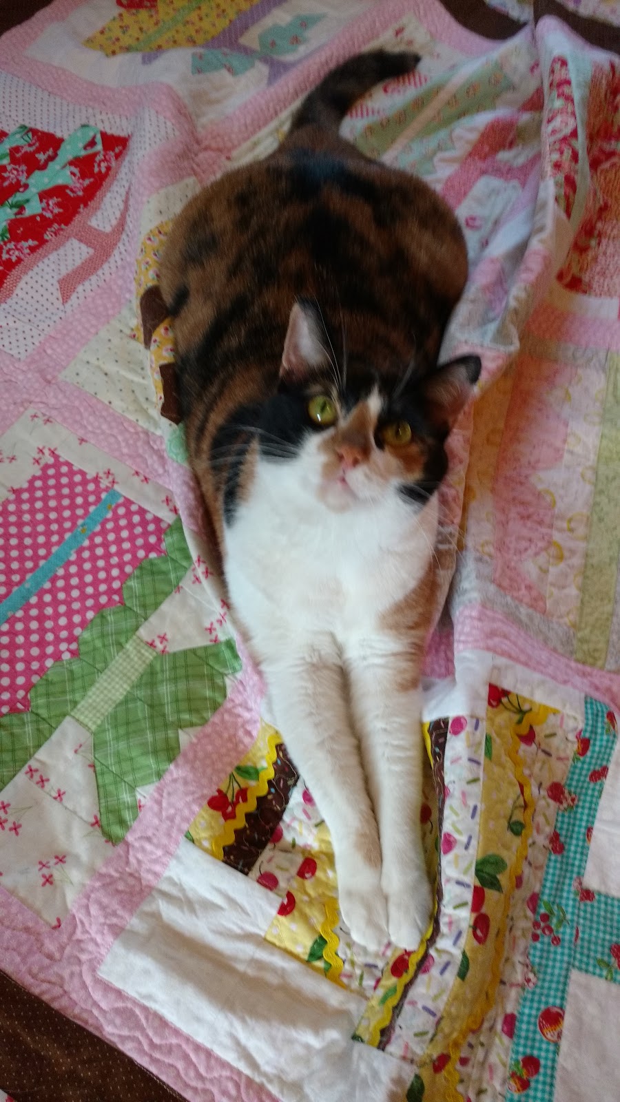Missy's Homemaking Adventures: Cupcake the Calico Cat on the Cake Quilt