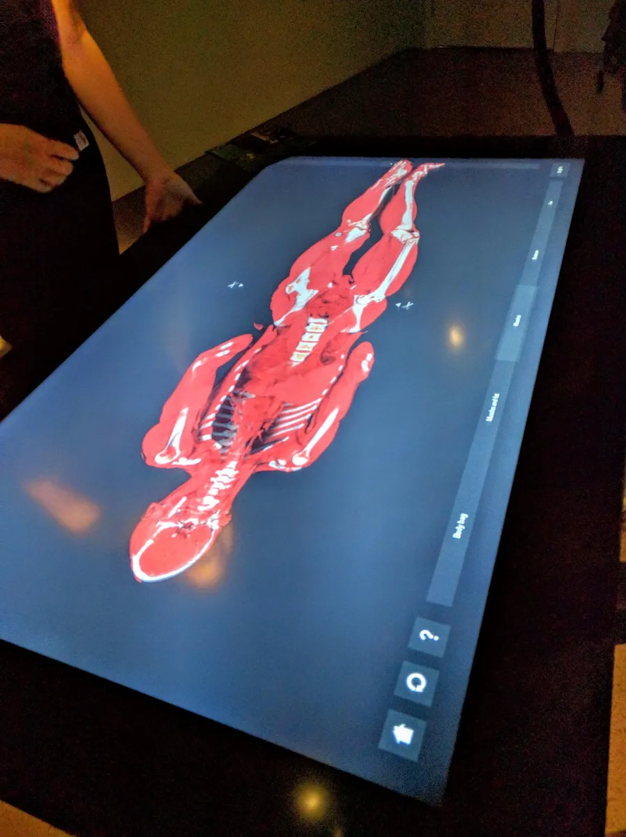 15 of the Best Things to do in Norrkoping Sweden in One Day | Sidewalk ...