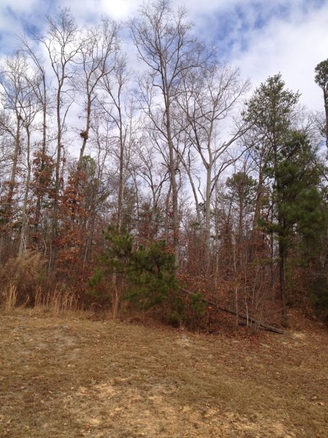 The Boring Ham Radio Part: 160m Inverted L