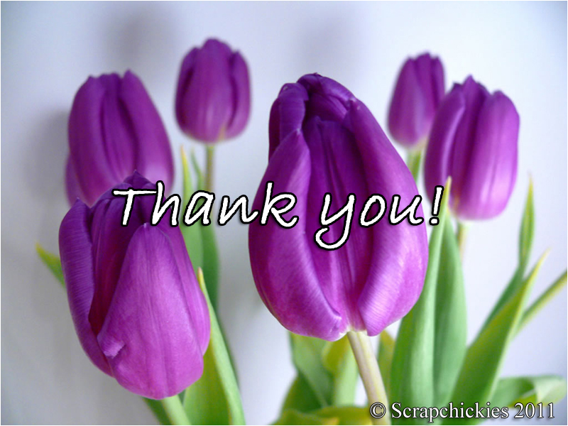 Scrapchickies: Zesenvijftigste volger!!!