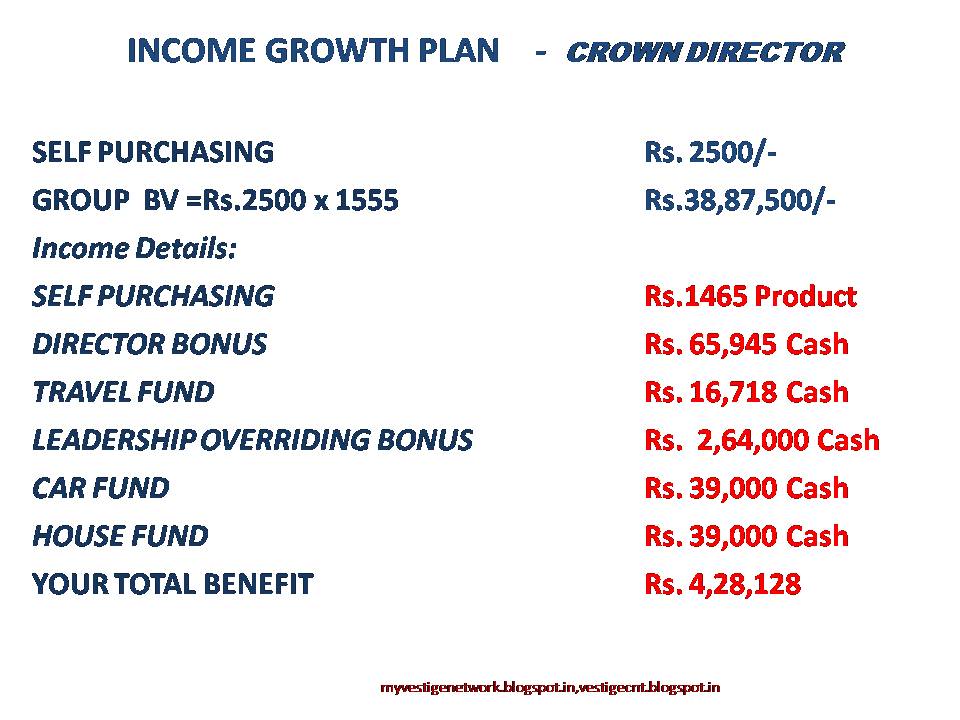 Vestige Digital Network: INCOME GROWTH PLAN