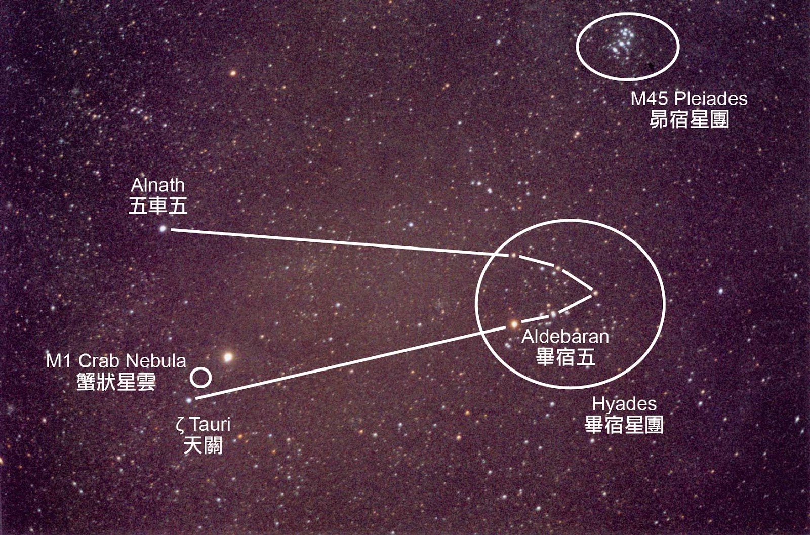 ASTROMAG天文誌: Stargazing101 觀星入門(2)：金牛座(Taurus)