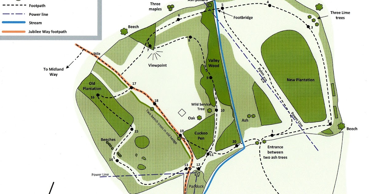 Filnore Woods Blog: Map of site