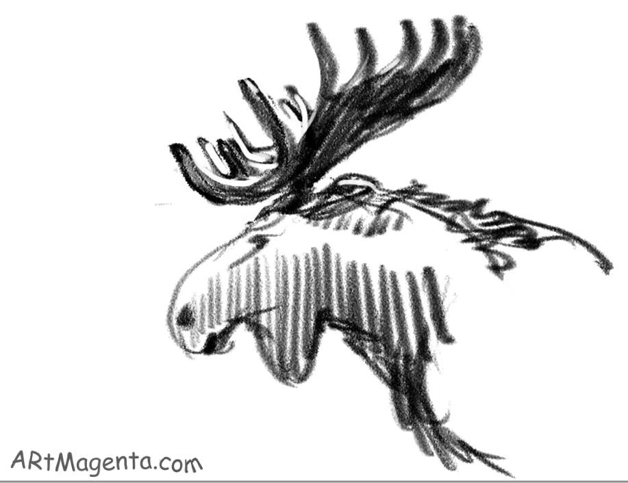 Sketchbook: The majestic moose snorted at me
